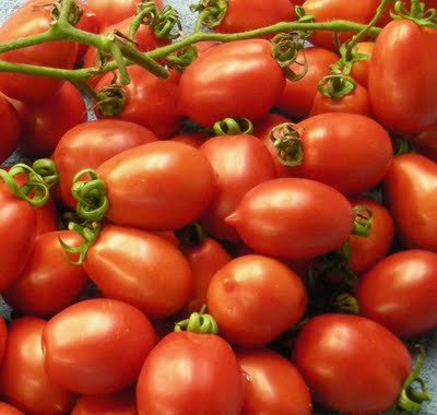 A very special kind of tomato | About New7Wonders