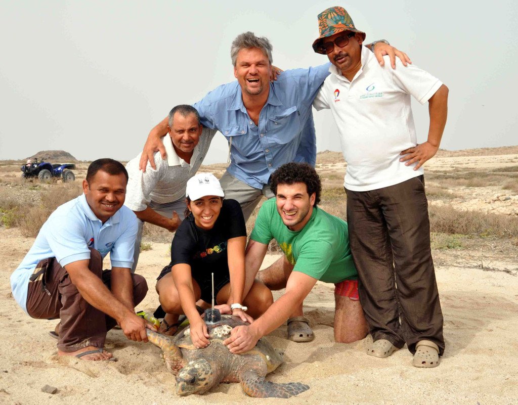 Latifa tagged: Hawksbill turtle will raise awareness of Bu Tinah Island ...
